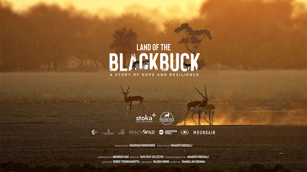 Reach Wild Foundation - Wildlife Conservation Storytelling